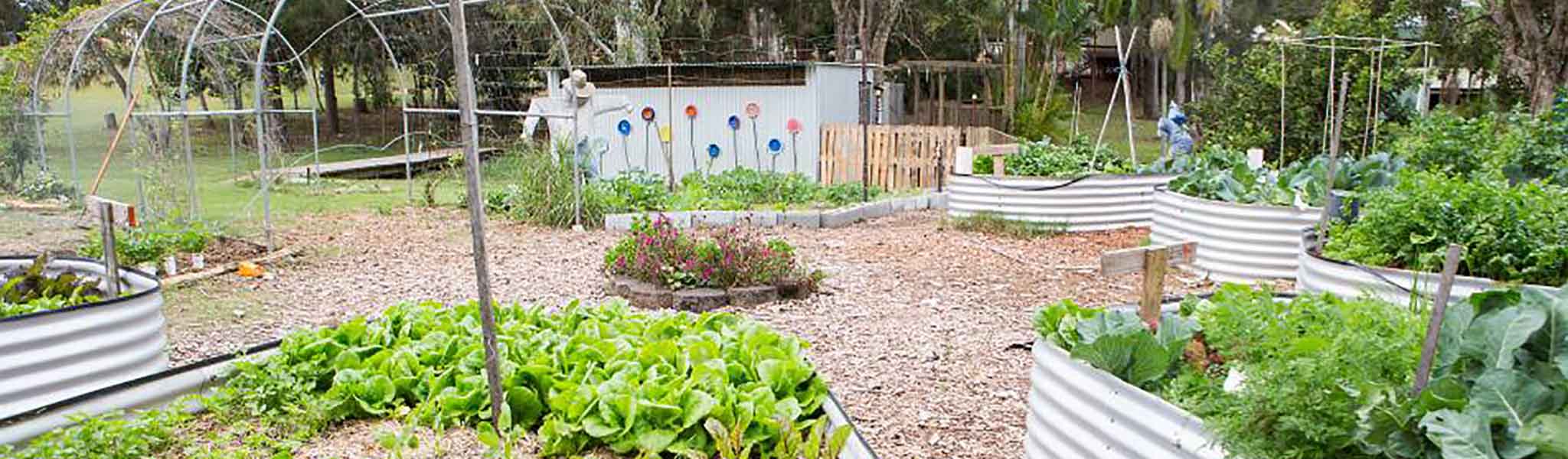 Wellington Point State School